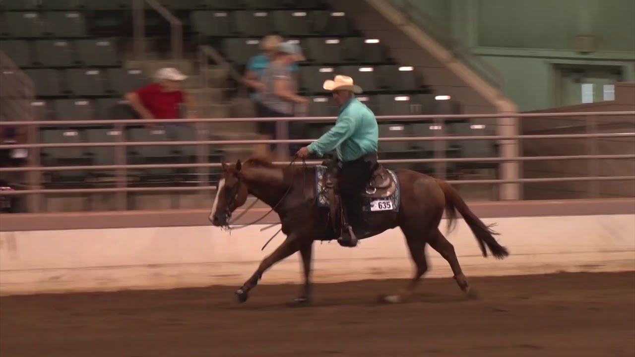 190912 Novice Horse David Buffamoyer on Mark This Magnum - YouTube