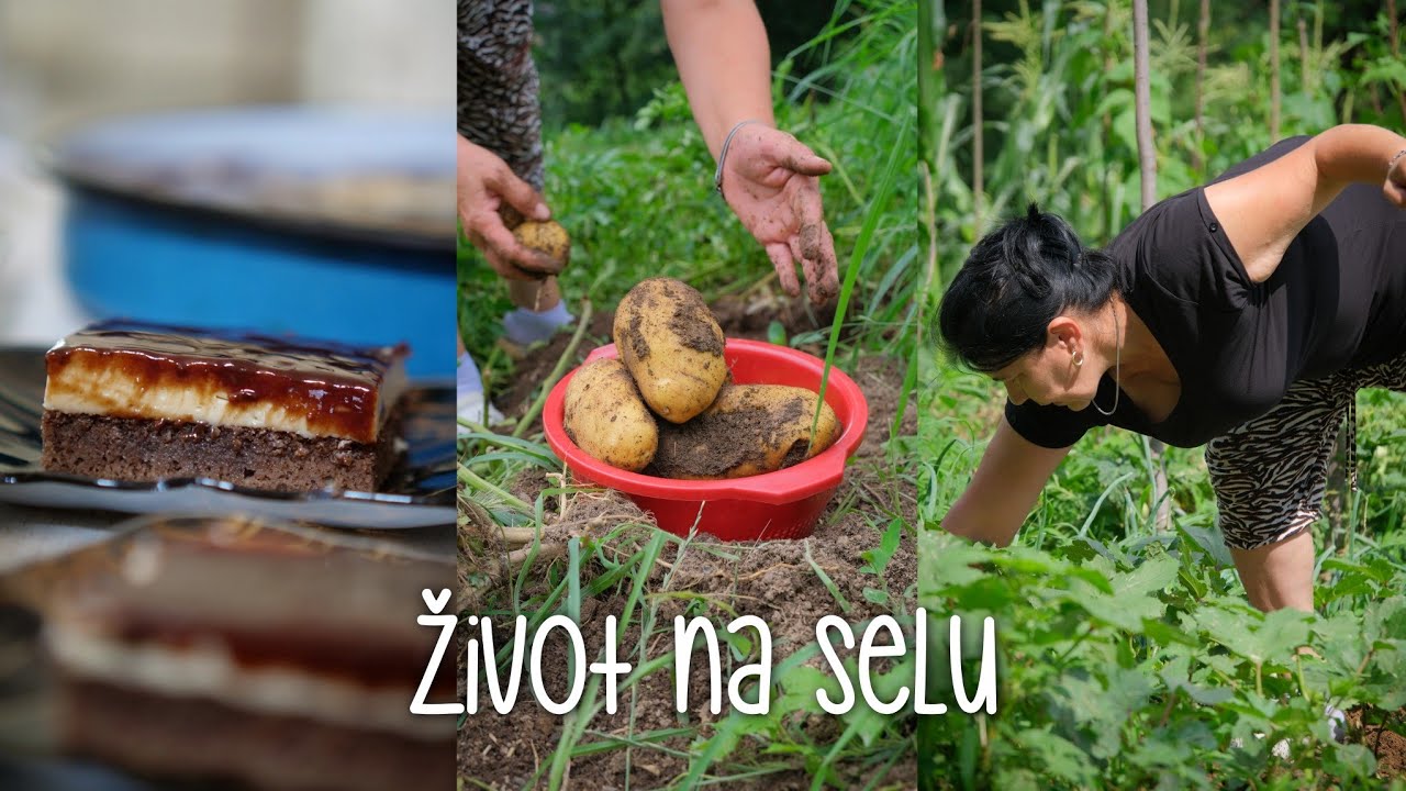 Moj radni dan: Žetva organskog povrća, i ukusni recepti🥦 - YouTube