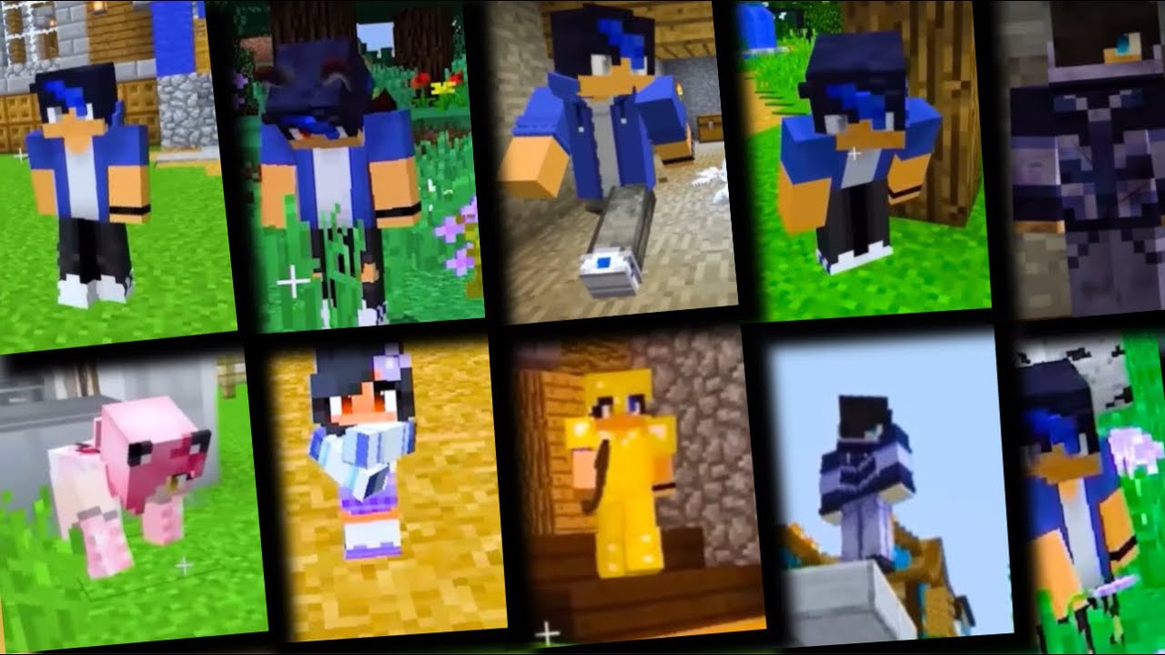 Best Of Ein - Shorts (October 2024 Compilation) | Ein | Minecraft ...