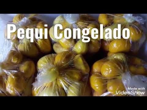 Como Congelar Pequi p/ Não Amargar Depois - YouTube