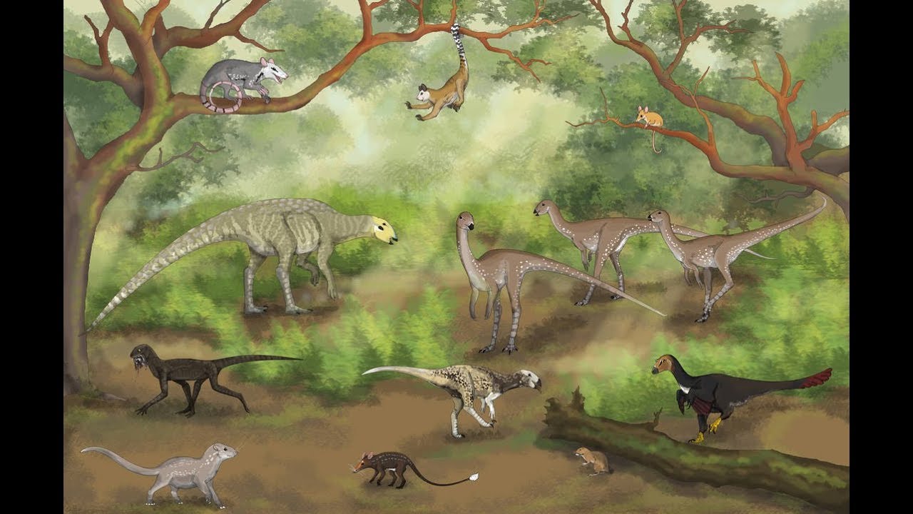 Speculative Evolution: Middle Eocene South America - YouTube