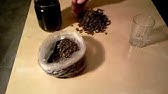 Лечение суставов пчелиным ядом - YouTube
