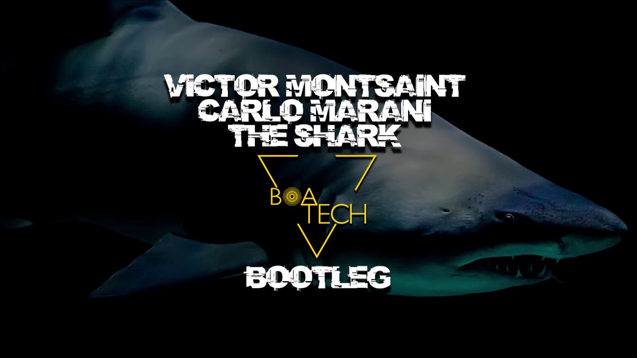 Victor Montsaint & Carlo Marani - The Shark (Boatech Bootleg) - YouTube