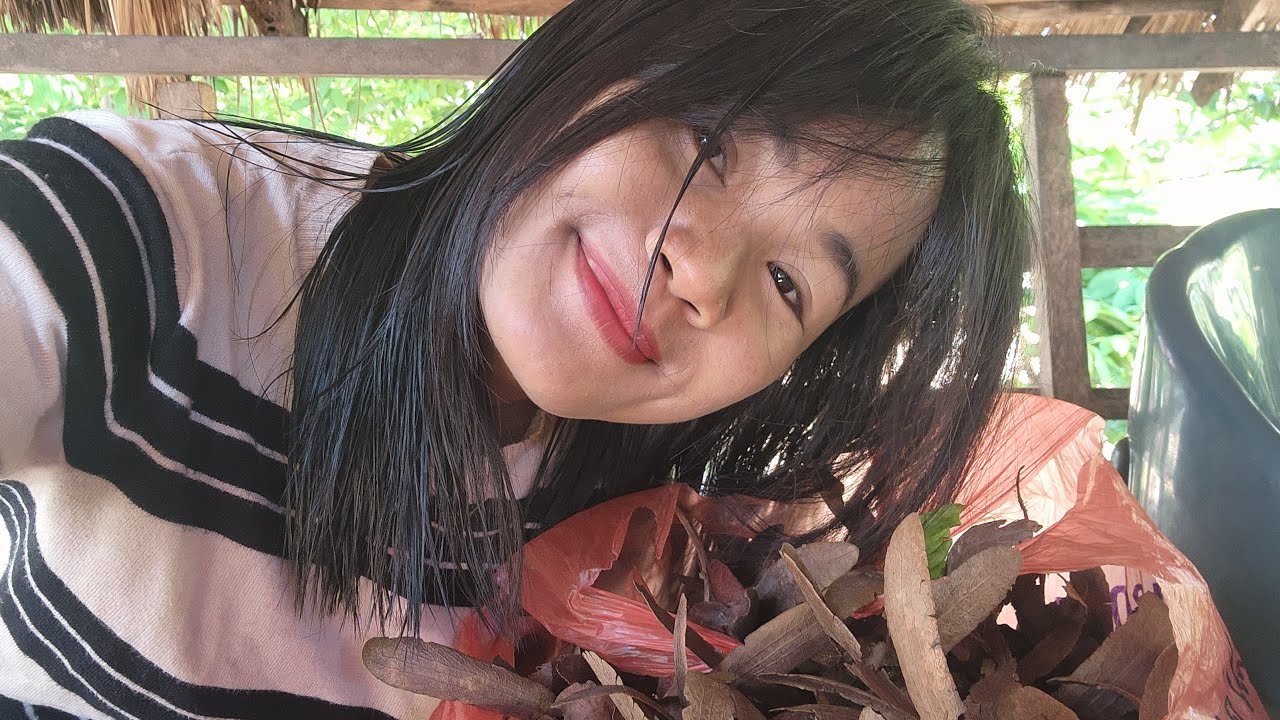 ทิพย์สาวลาว Thip channel is live! - YouTube