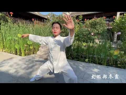 Zheng Dongxia (discípula del M° Chen Zhenglei) realizando LAOJIA YILU. - YouTube