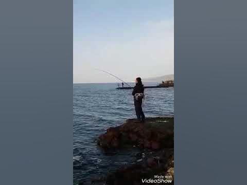 fishing rod Daiwa morethan branzino AGS 97ML/M, J - YouTube