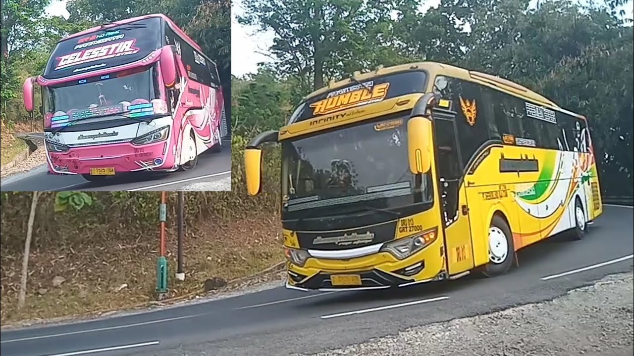 FULL BASURI BUS DHEEMOBILINDO, GRACESIA, ETI TRANS, JAYA MANDIRI - YouTube