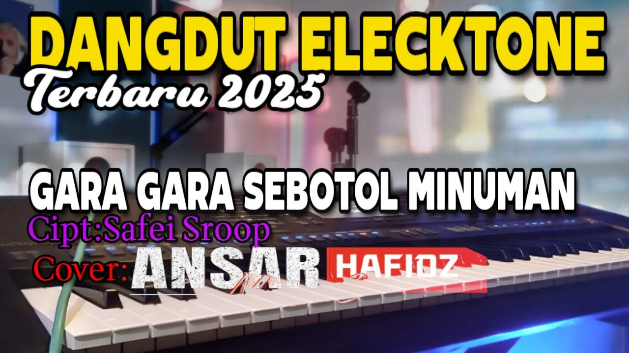 LAGU DANGDUT ELECKTONE TERBARU 2025/GARA GARA SEBOTOL MINUMAN/SAFEI ...