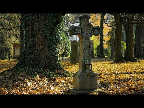 Chopin - Funeral March (Marș funebru)