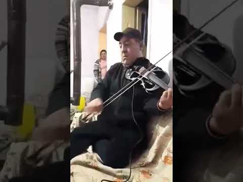 kemancı birol