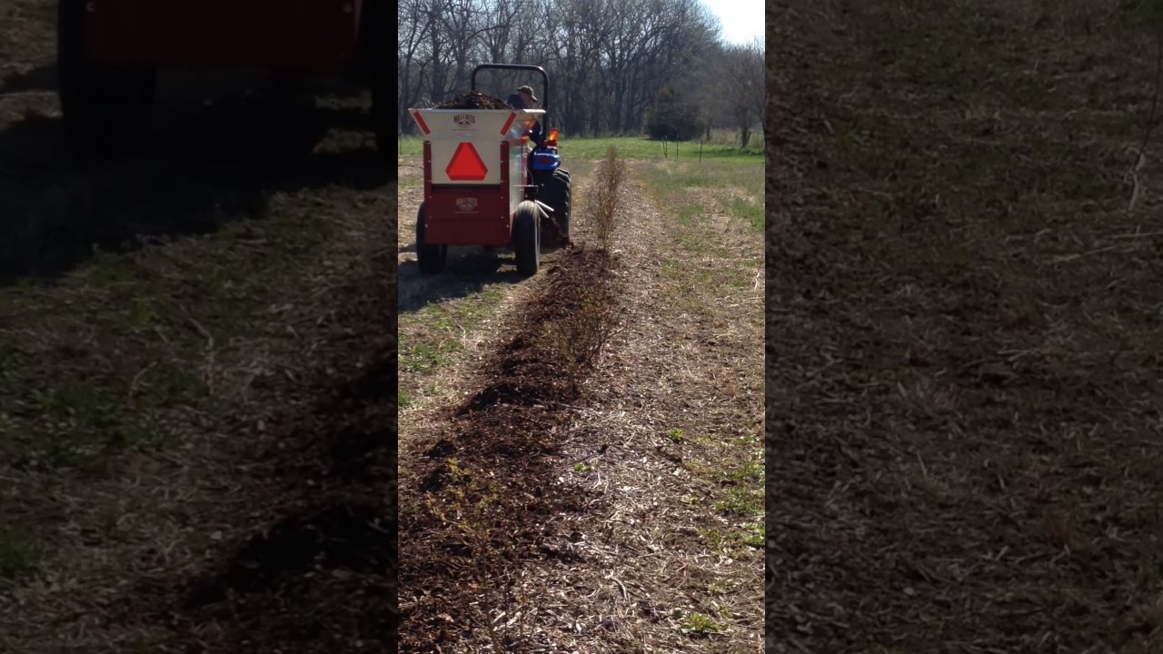 Mulching blueberry rows - YouTube