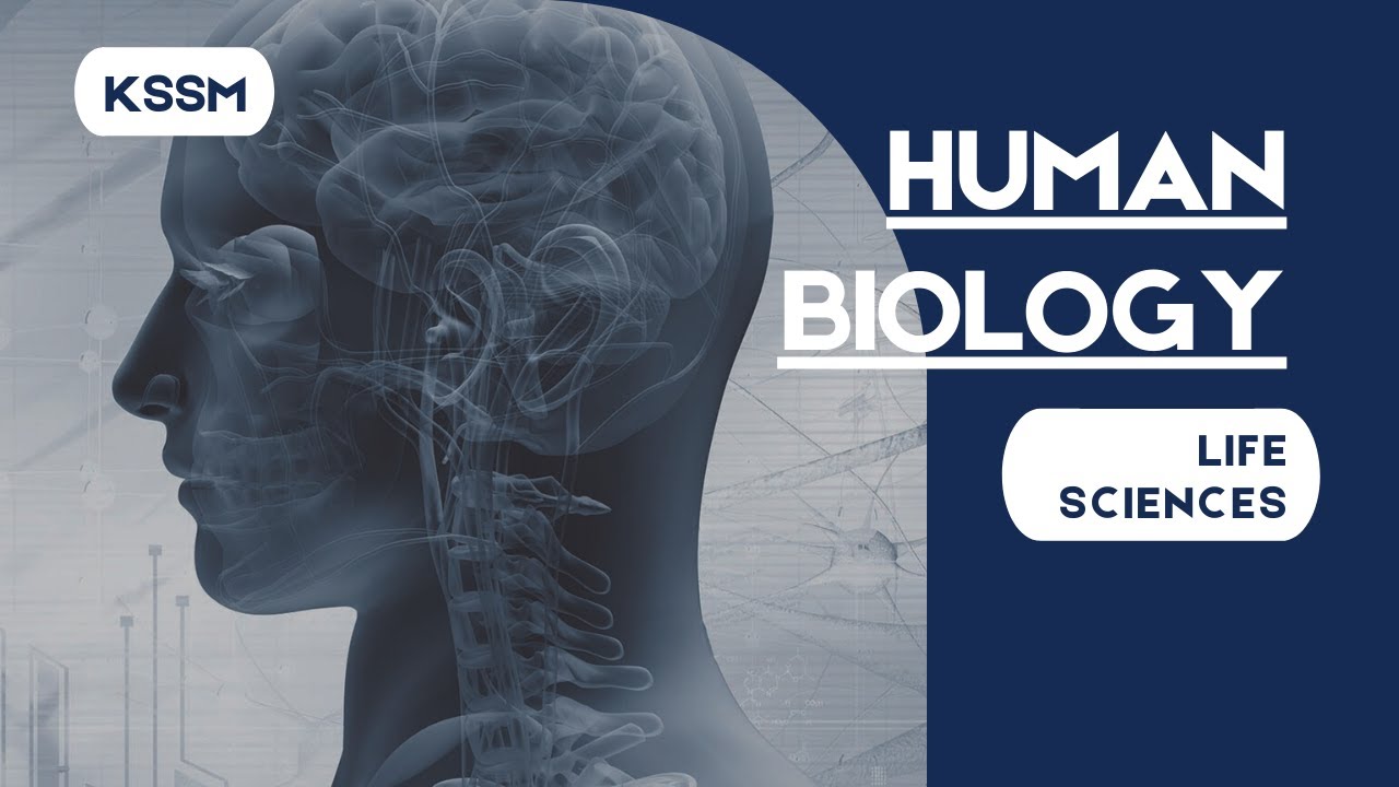 Life Sciences | Human Biology - YouTube