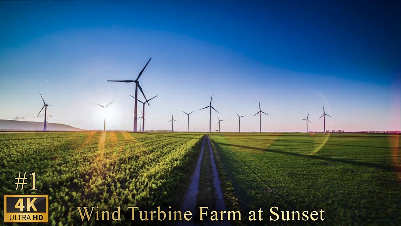 Wind Turbine Farm at Sunset | Royalty Free Stock Footage Video clips 4K ...