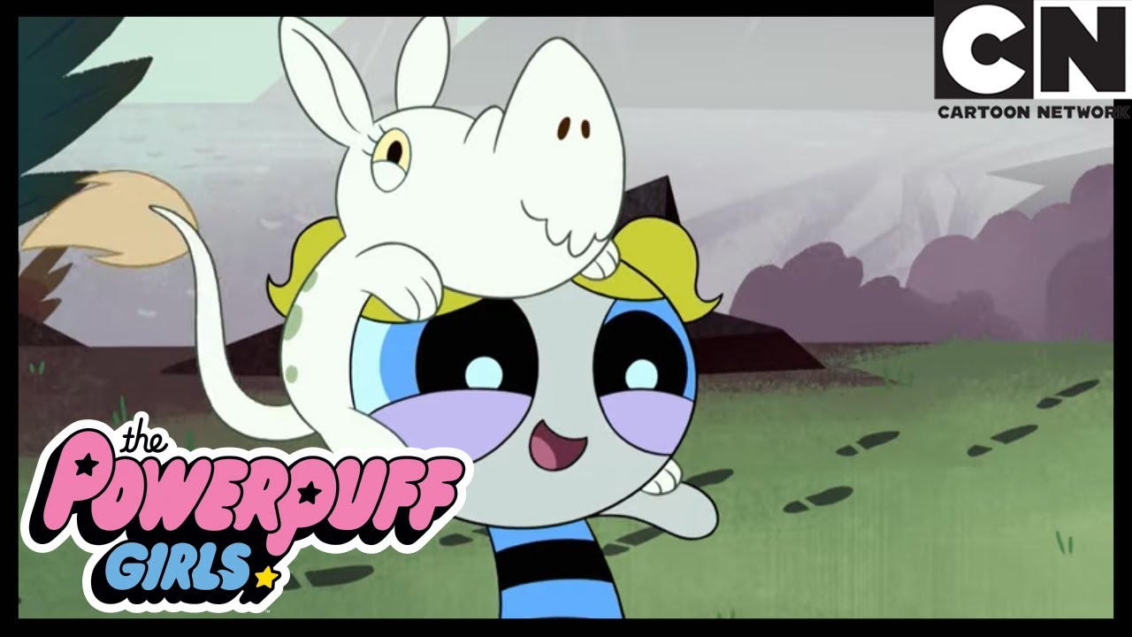 NUEVA AMIGA | Las Chicas Superpoderosas | Cartoon Network - YouTube