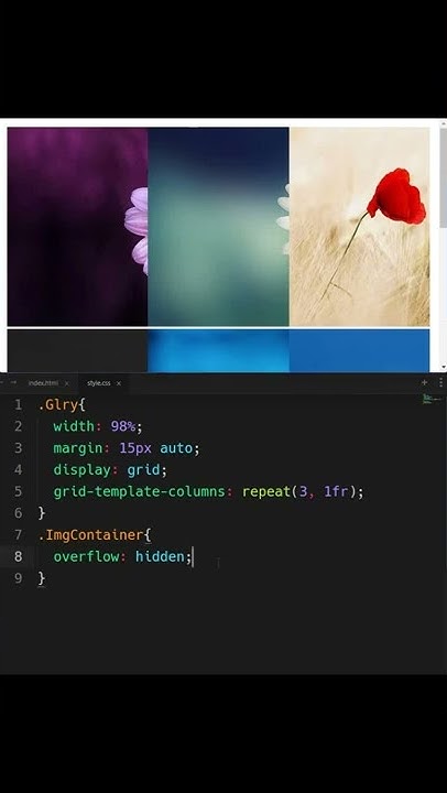 HTML CSS Responsive Image Gallery | #shorts #shortvideo #trending #sort #css #mdrakib #rakib ...