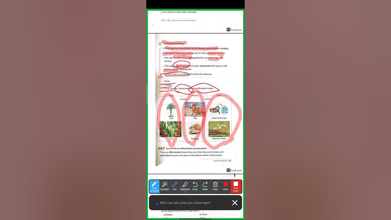 prep 1 unit three lesson 1 first term - YouTube