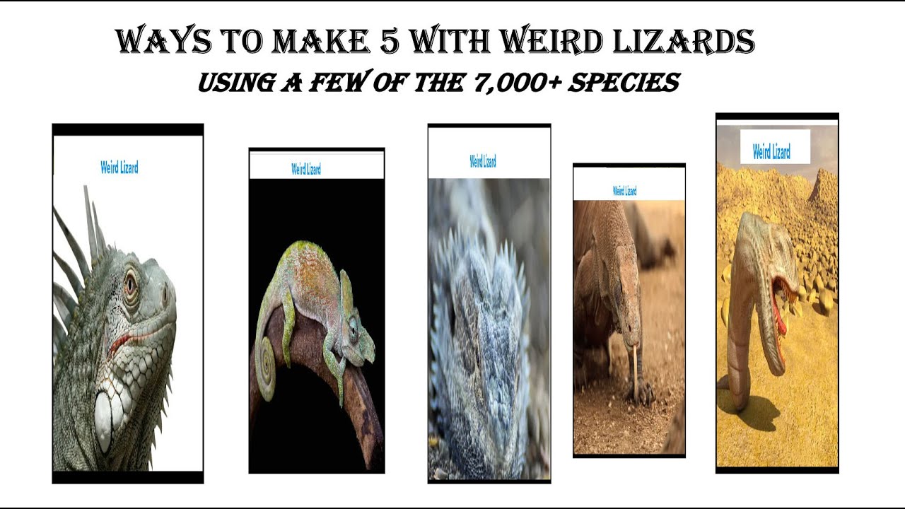 Fun With Numbers by Adding Ways to Make 5 With Weird Lizards #3 - YouTube