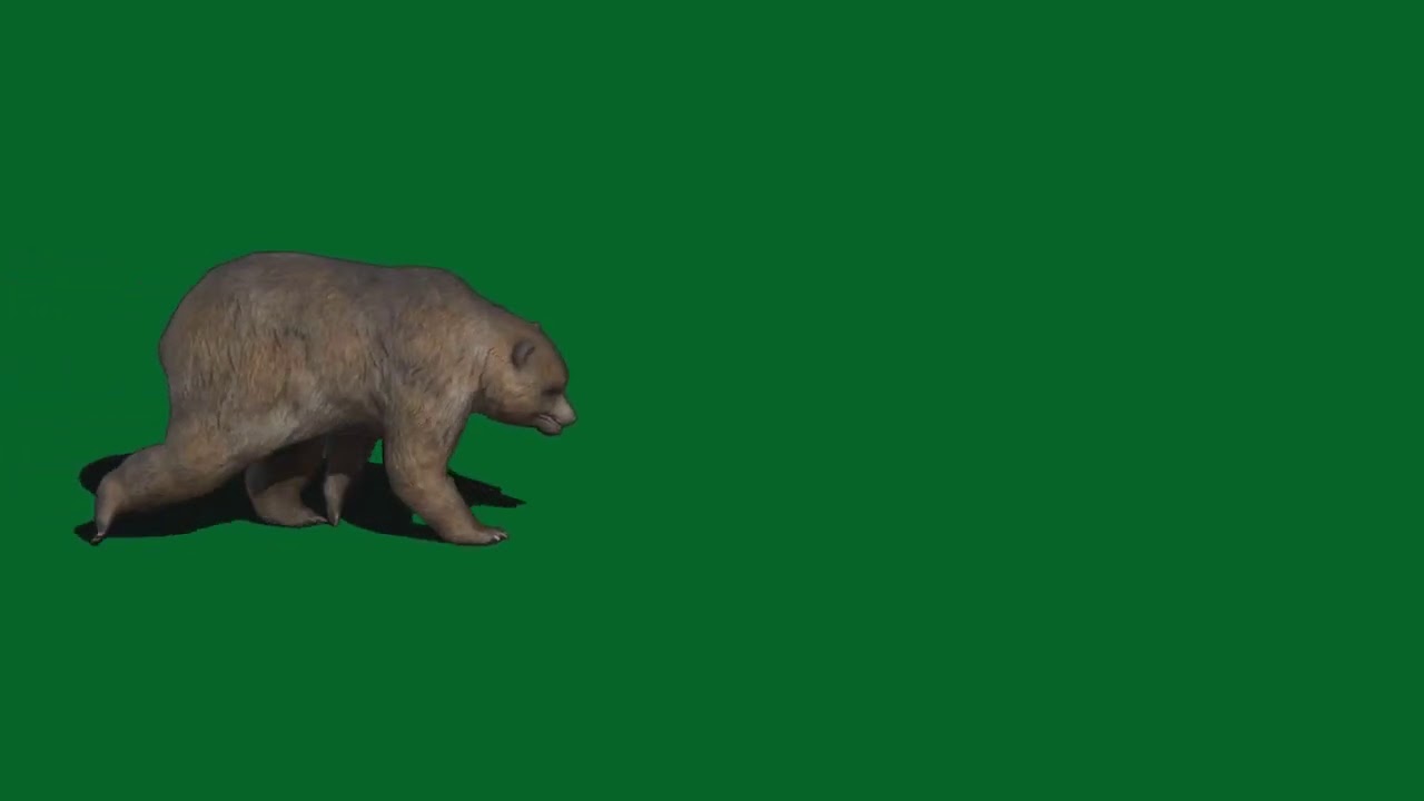 TOP AND NO COPY RIGHT GREEN SCREEN VIDEO EFFECT|BEAR GREEN SCREEN - YouTube