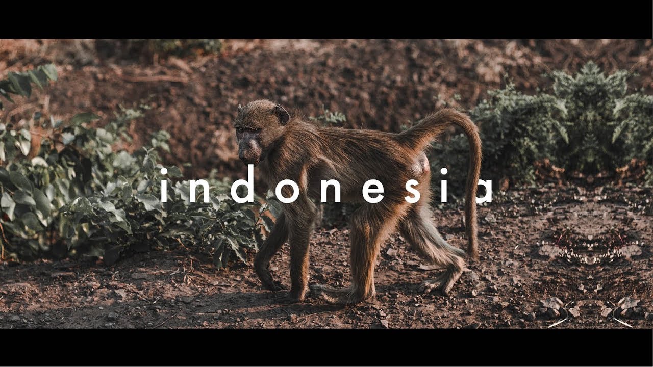 Backpacking Java, Bali and Gili Islands (Indonesia) Gopro 3+ - YouTube