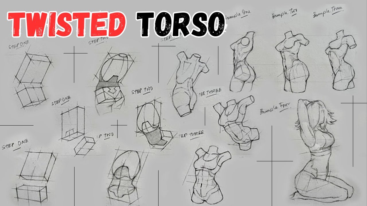 Draw the PERFECT Female Torso with Basic Shapes - YouTube