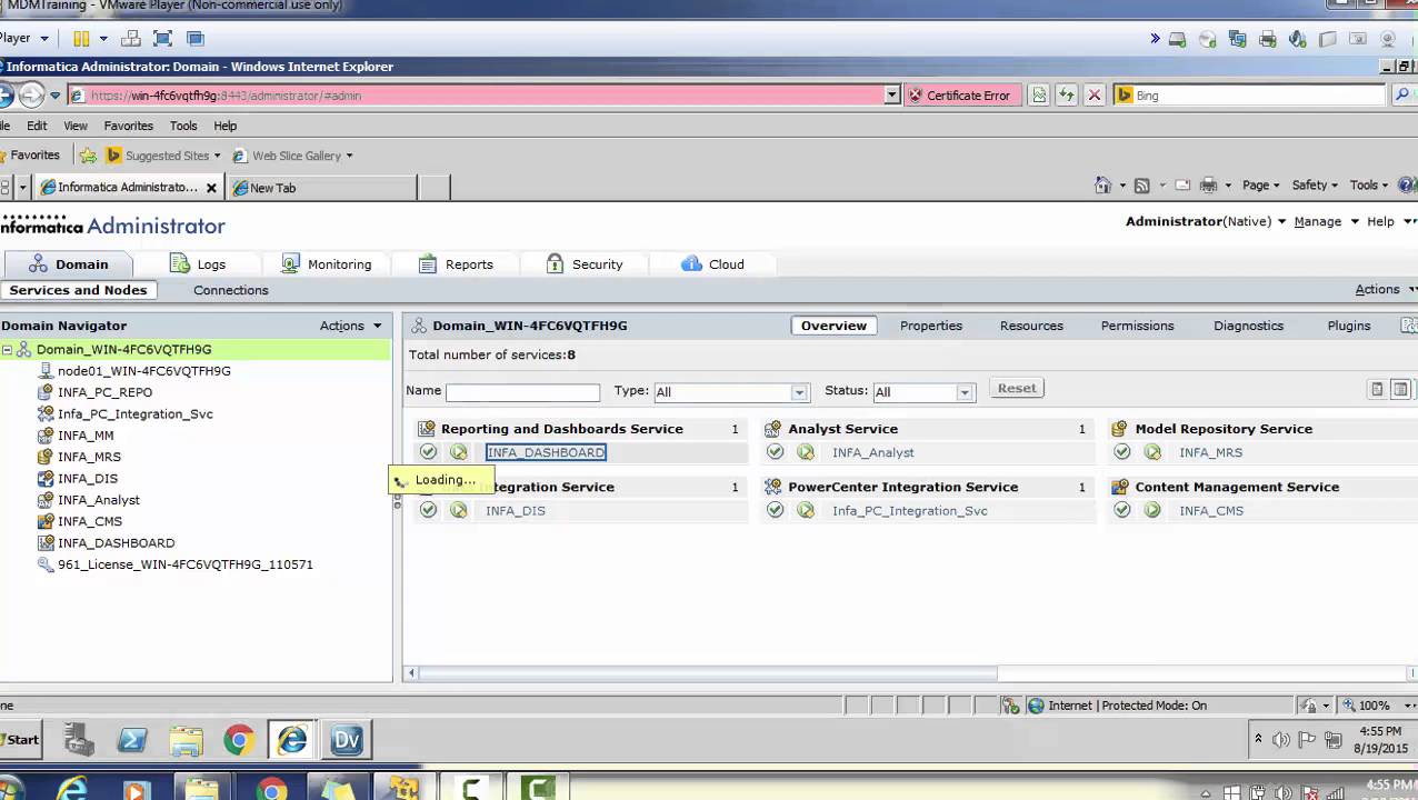 Informatica Data Quality - IDQ - Admin Console and Developer Tool - YouTube