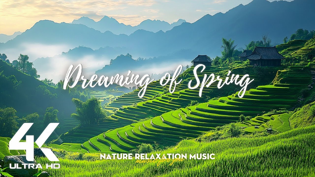 Dreaming of Spring - Nature Relaxation Music - YouTube