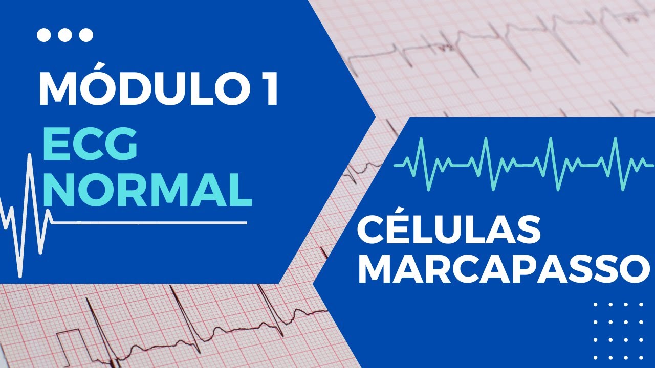 ECG_Módulo 01_Aula 03_O que preciso saber sobre as Células Marcapasso ...