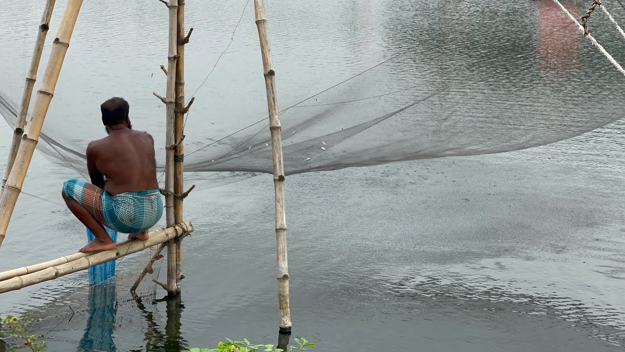 village man catching fish with big net - YouTube