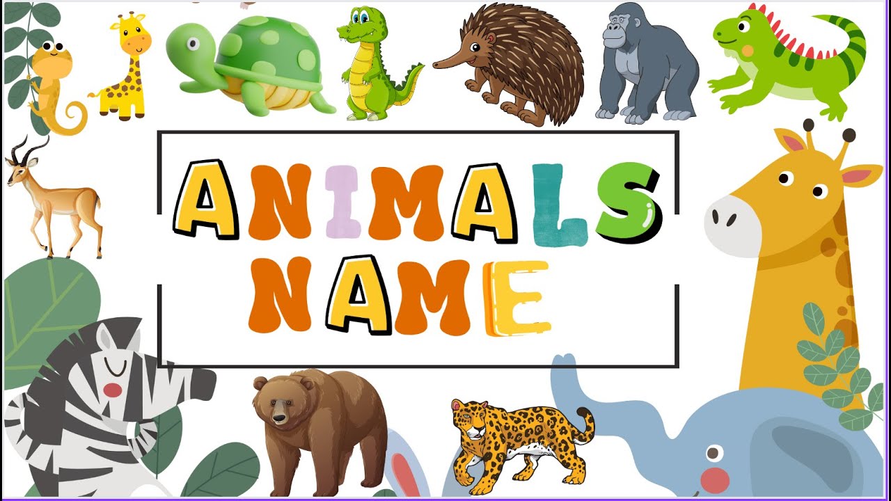 Ultimate Animal ABCs Song |Real Animals | Learn 104 Animals Song for ...