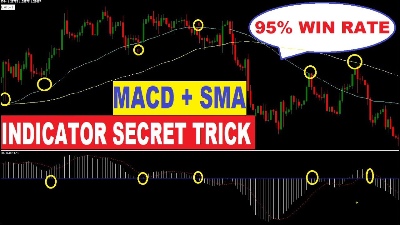 MACD + SMA Indicator Secret Trick - How To trade with SMA + MACD ...