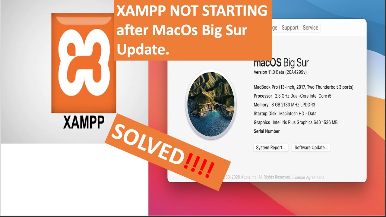Xampp Not Working After macOs Big Sur Update Solved - YouTube