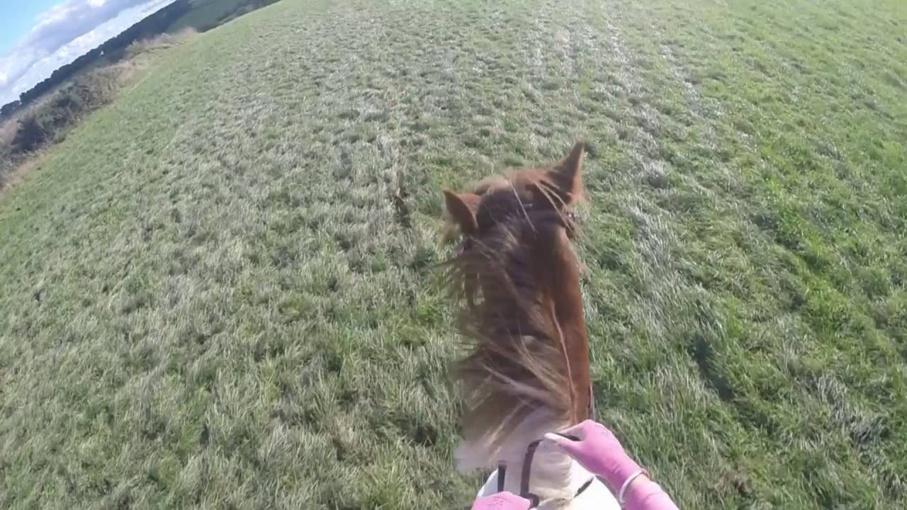 Southcott XC Hunter Trial- 2'6" 2/10/16 (Headcam) - YouTube