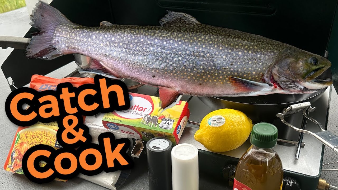 Smith River Trout Fishing (First EVER Catch and Cook) HUGE BROOK ACTION ...