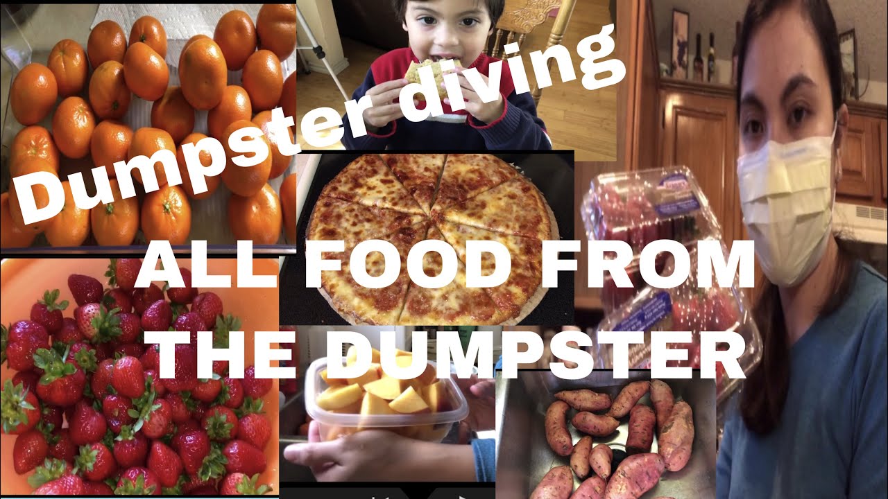 DUMPSTER DIVING/ FOUND ALL THIS FOOD IN THE DUMPSTER - YouTube