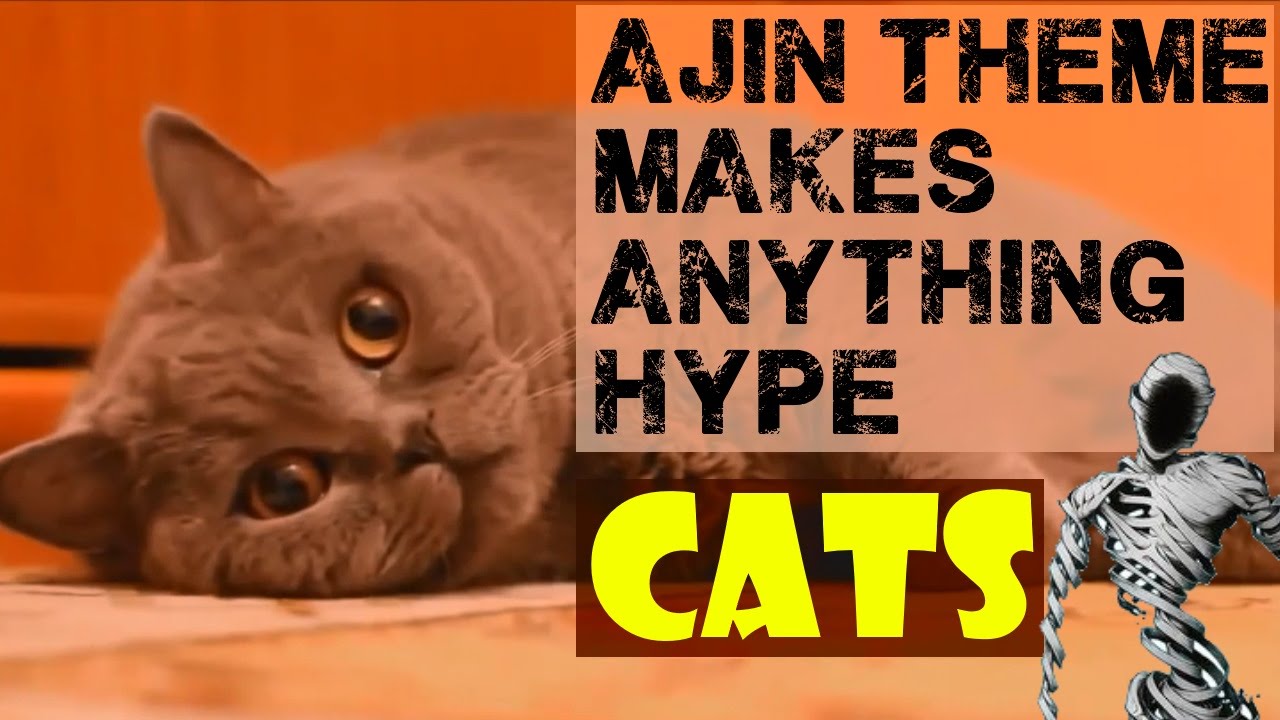 Ajin Theme Makes Anything HYPE! - Cats - YouTube