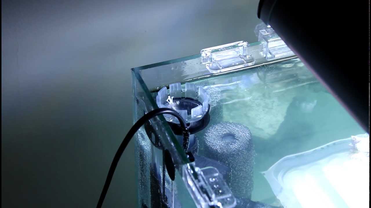 Dennerle BioCirculator 4-1 - operation and noise - YouTube