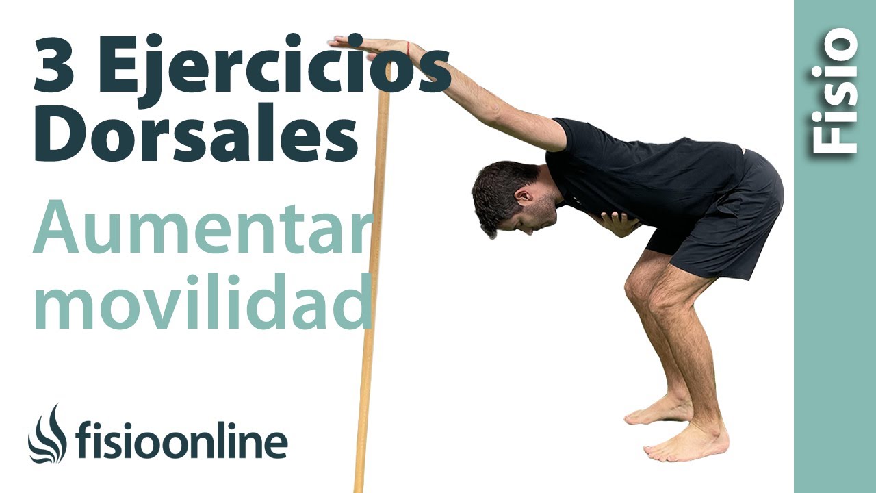3️⃣ EJERCICIOS para MOVILIZAR las DORSALES 🤸‍♂️ - YouTube