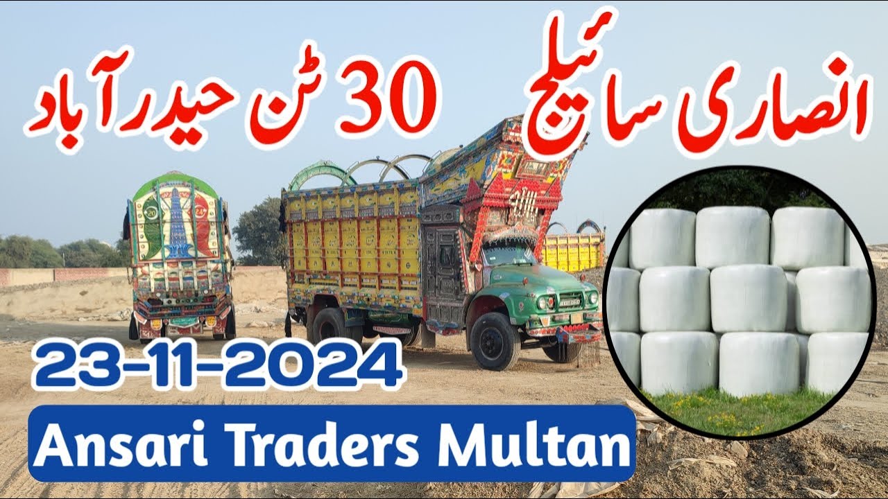 30 Tann Silage Loading for Haiderabad | Makai Silage Price in Pakistan 2024 | Ansari Traders ...