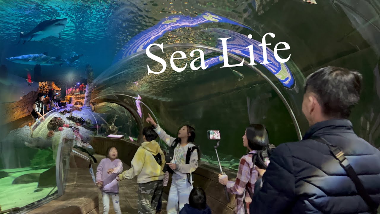 Mall Of America (Sea Life Minnesota) 3/24/23 - YouTube