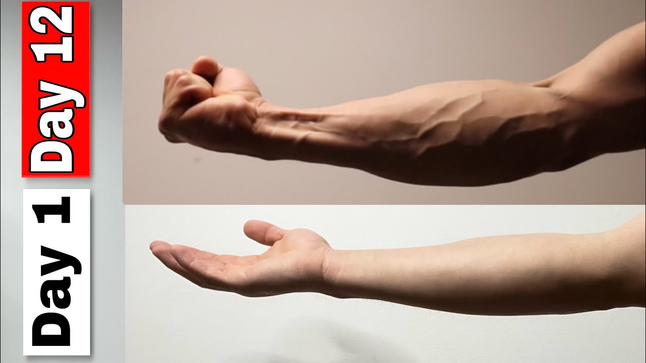Getting Vascular forearm DAY 12 - YouTube