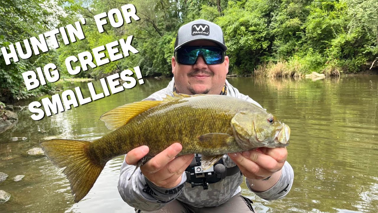 On the Hunt for BIG Creek Smallmouth Bass in Ohio! - YouTube