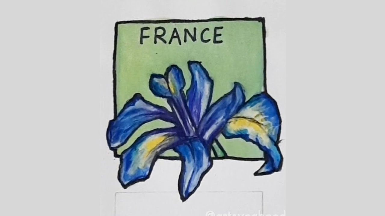 French Iris Drawing
