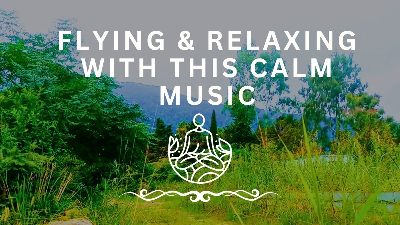 Flying: Relaxing Sleep Music • Deep Sleeping • Relaxing & Stress Relief ...