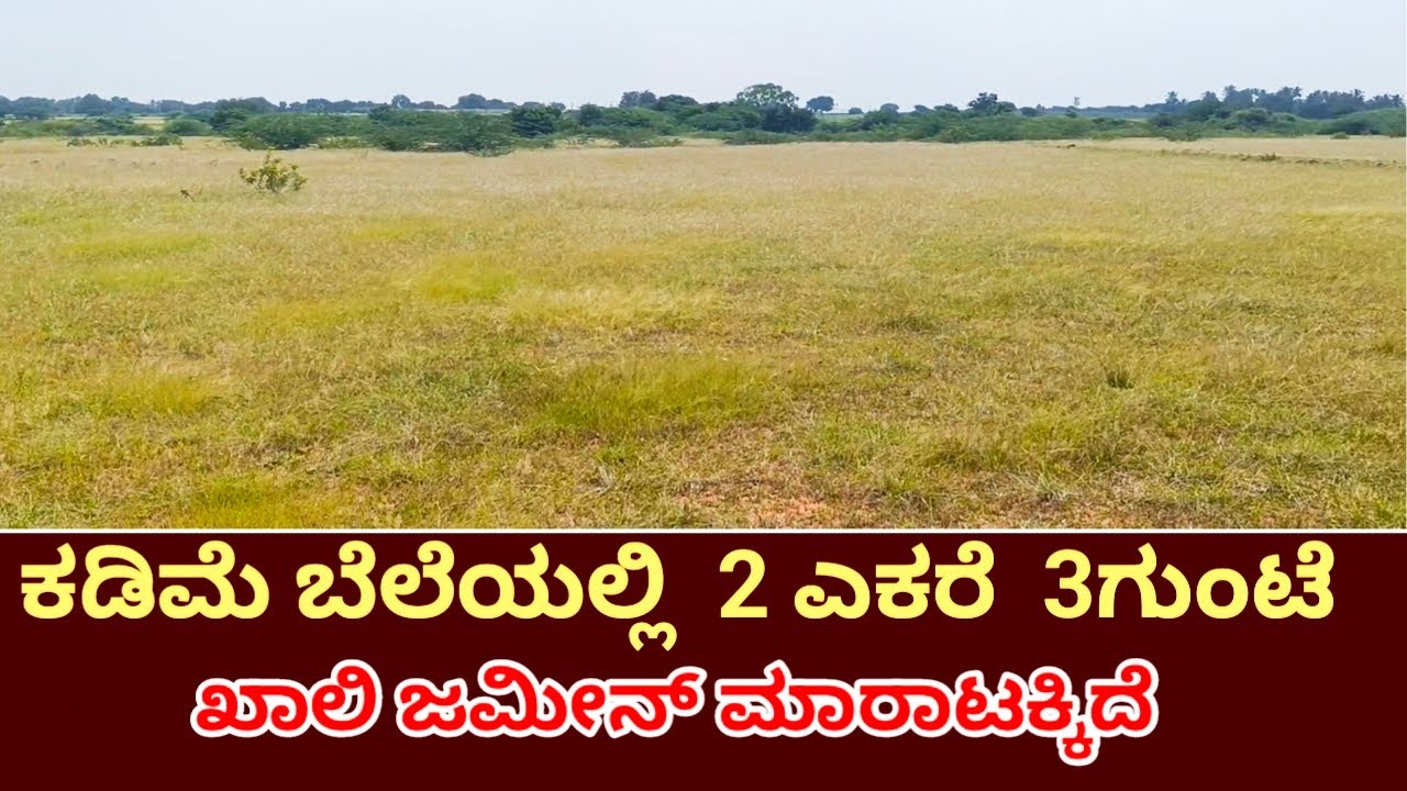 General Property 8 KM Near By Parashurampur Challakere Taluk ...