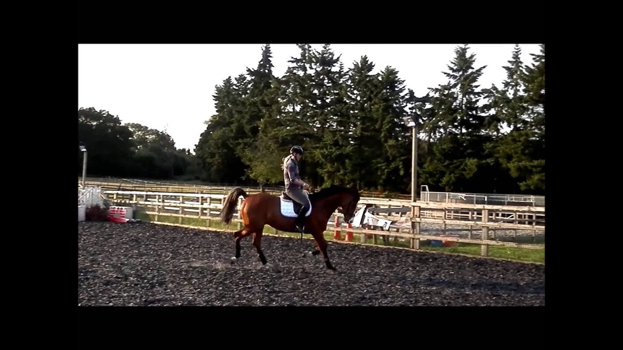 Zane flatwork - YouTube