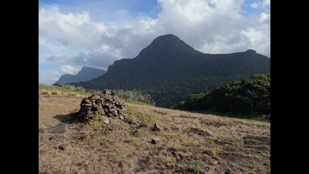 Trekking in the Knuckles Forest Reserve | නකල්ස් රක්ෂිතයේ සංචාරය (2015 ...