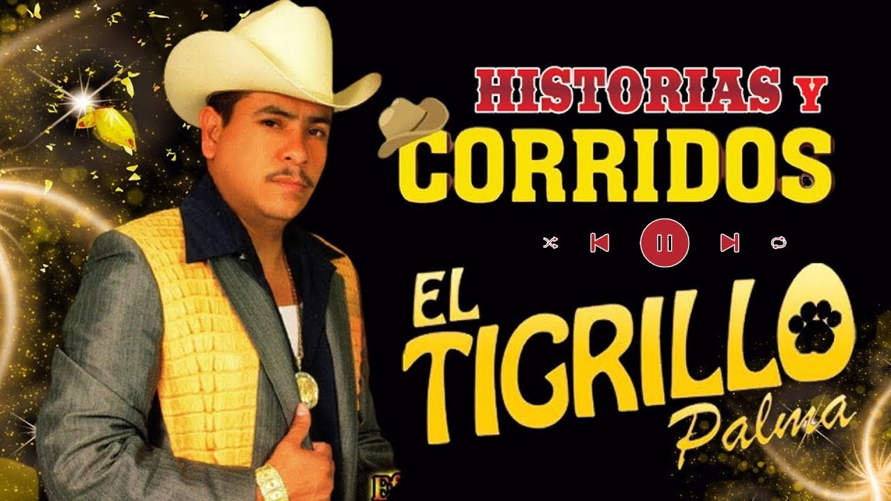 El Tigrillo Palma 💥 El Tigrillo Palma Mix De Exitos 💥 Corridos Perrones ...