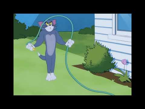 tom and gerry compilation