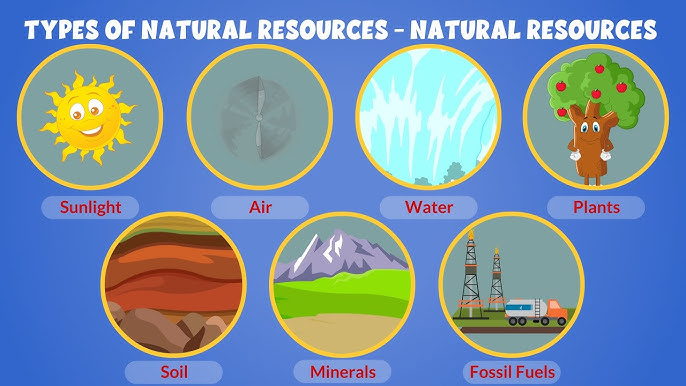 Natural Resources Examples