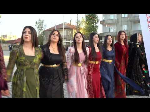 Gever de Güzel bir halay